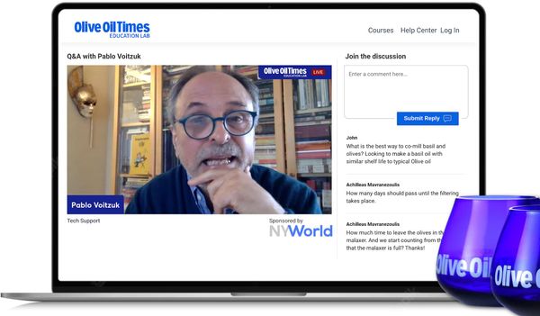 How do webinars work?